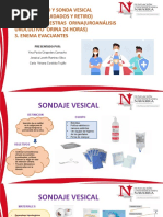 CISTOCLISIS | PDF | Especialidades Medicas | Riego