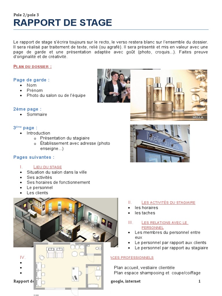 Rapport de PFMP 2bcpcoif2023 3 | PDF