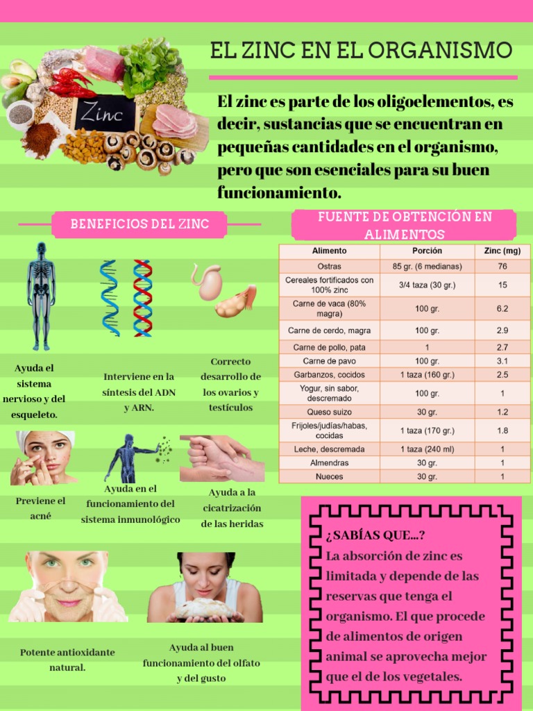 Beneficios Del Zinc En El Cuerpo Humano
