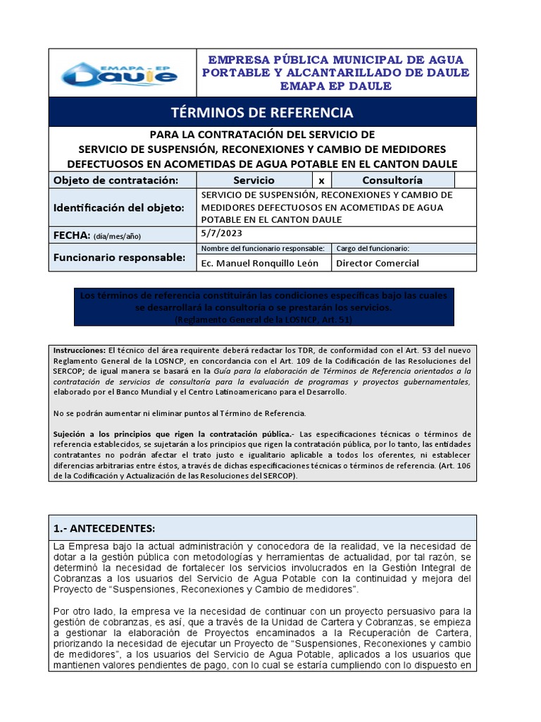 Formato 4 TDR | PDF | Negocios