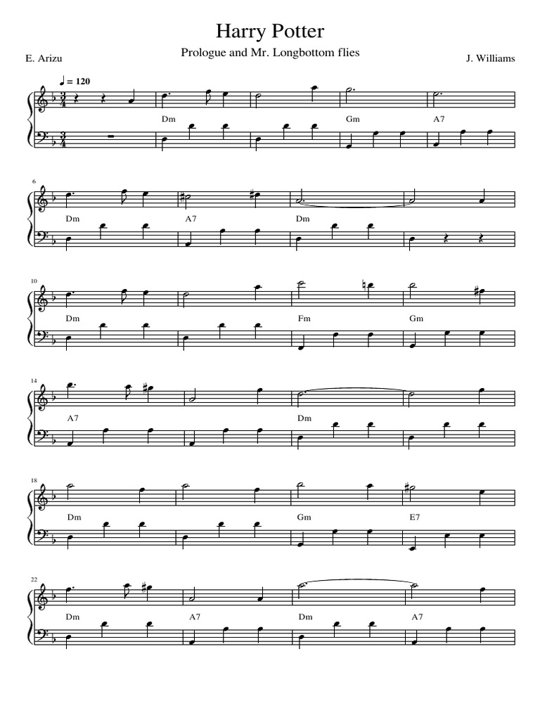 Harry - Potter DM | PDF