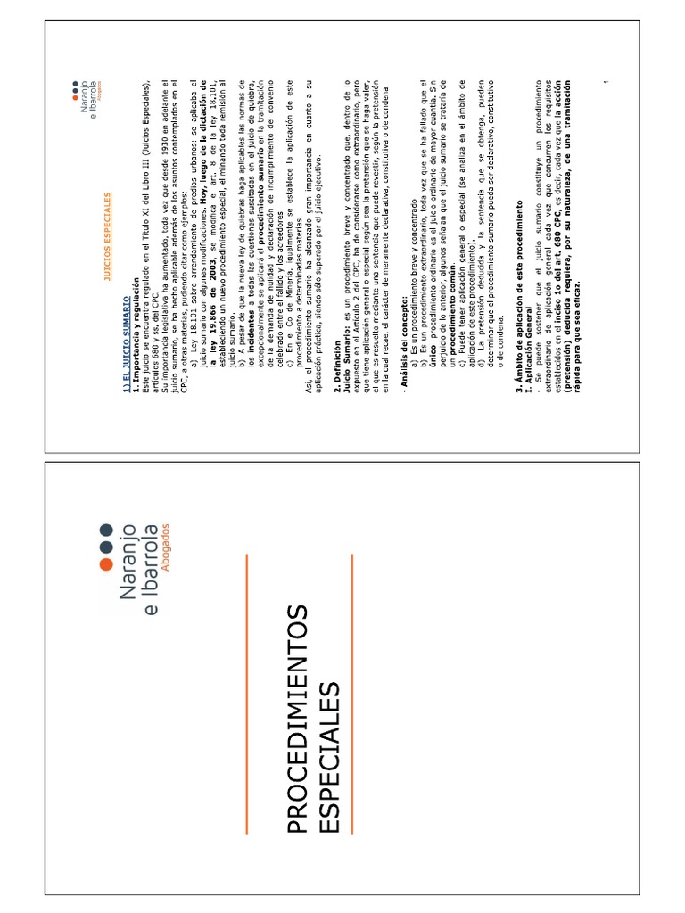 Procedimientos Especiales | PDF