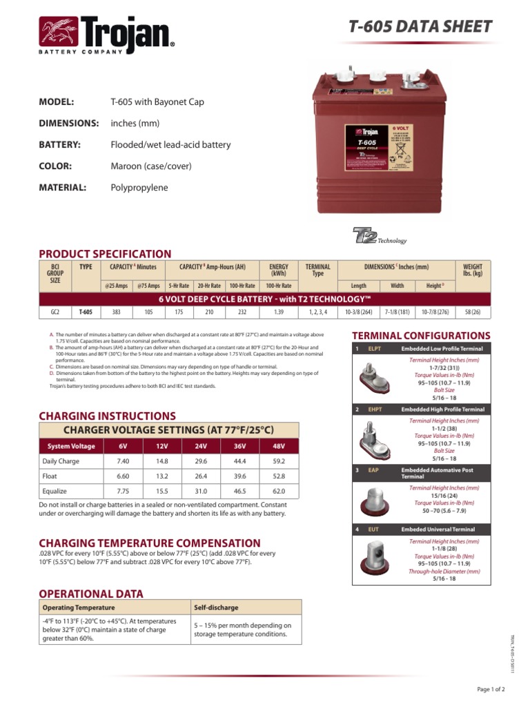 Trojan t605 | PDF | Battery Charger | Physical Sciences