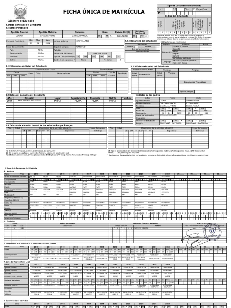 Llona Chamichume, Dayeli Paolaficha | PDF