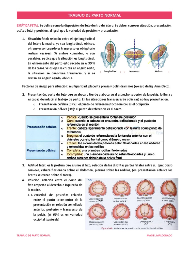 Parto Normal | PDF | Parto | Músculo esquelético
