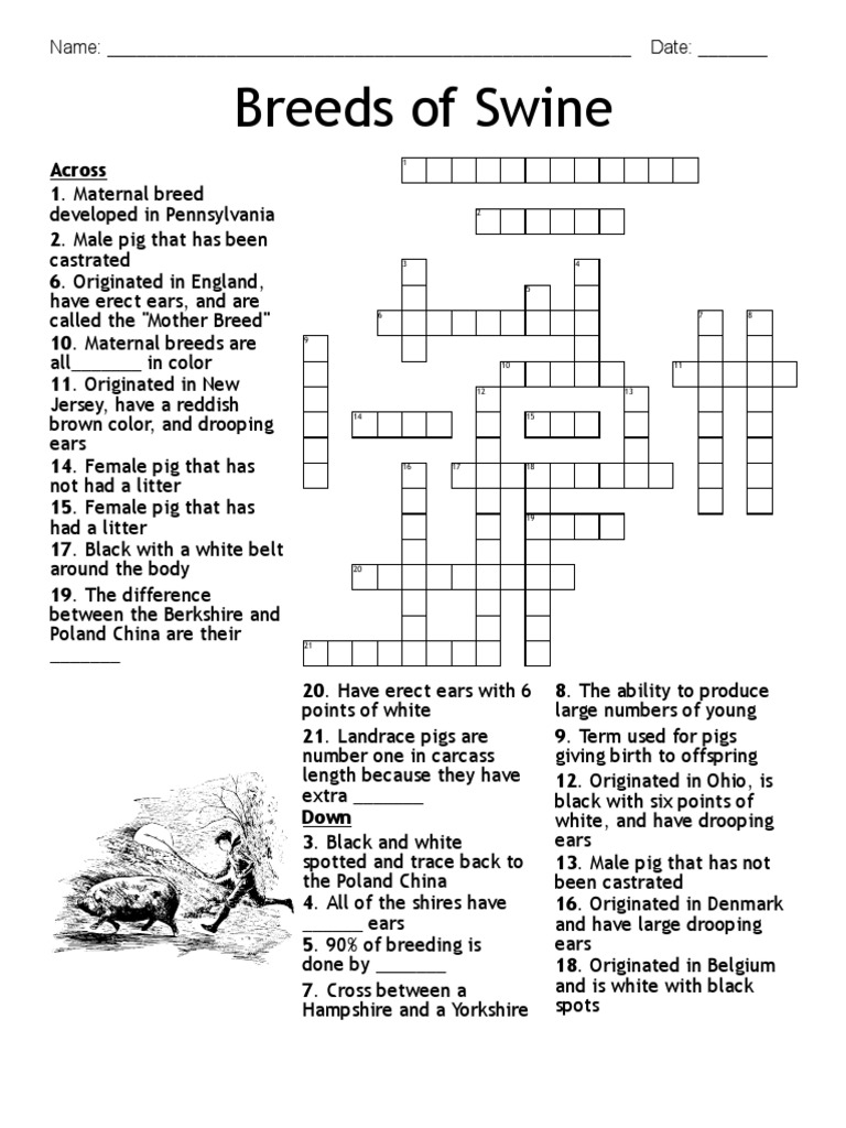 Breeds Of Swine Pdf Pig Breeding