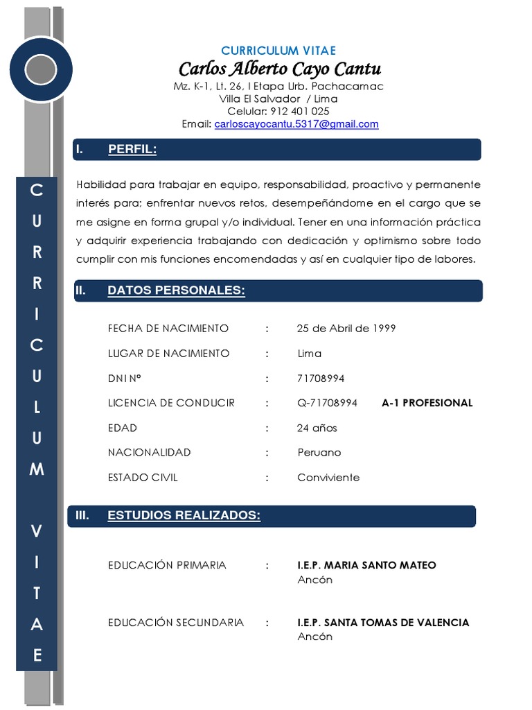 CV Carlos Alberto | PDF | Crecimiento personal y profesional