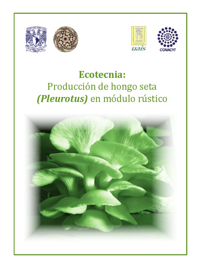 Producción de Hongo Seta en Módulo Rústico | PDF | Alimentos | Agricultura