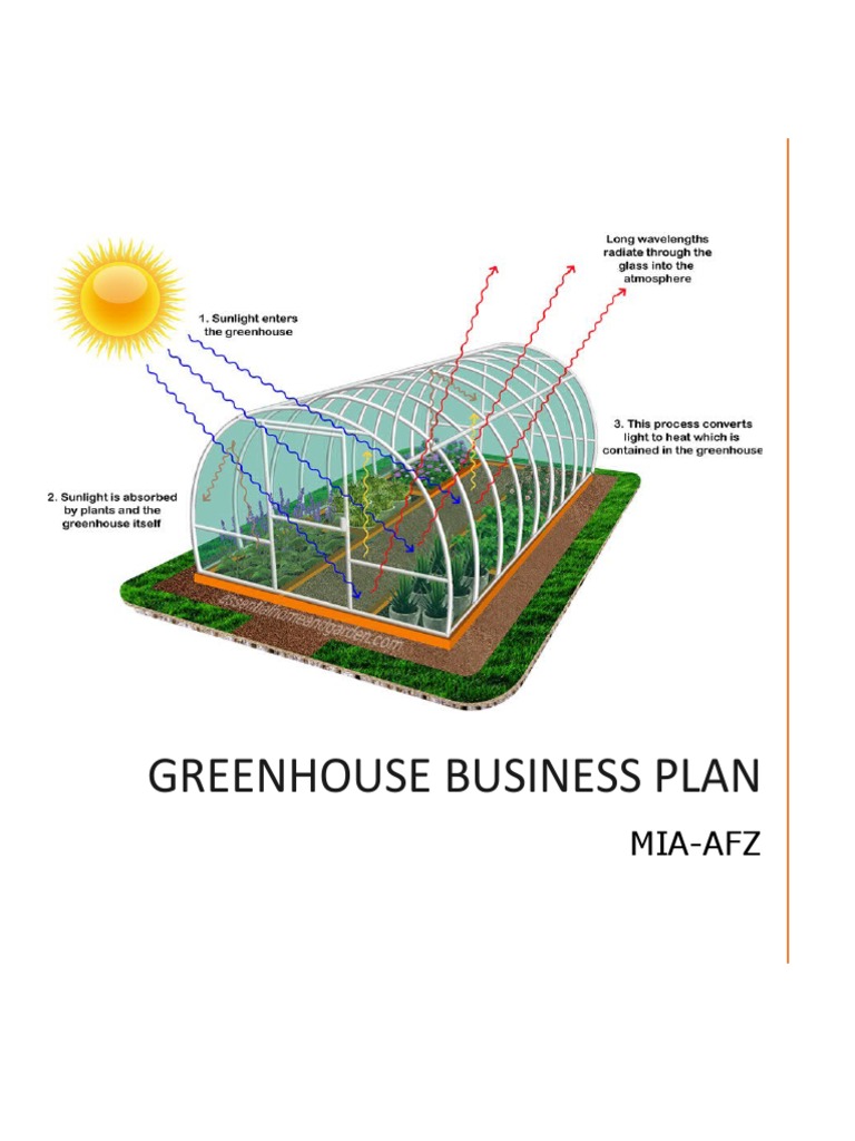 Greenhouse Business Plan Overview | PDF | Agriculture | Greenhouse