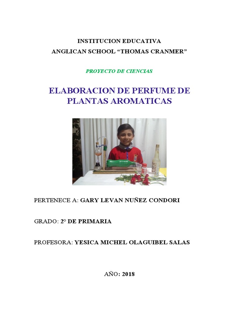 Caratulas de Los Experimentos | PDF