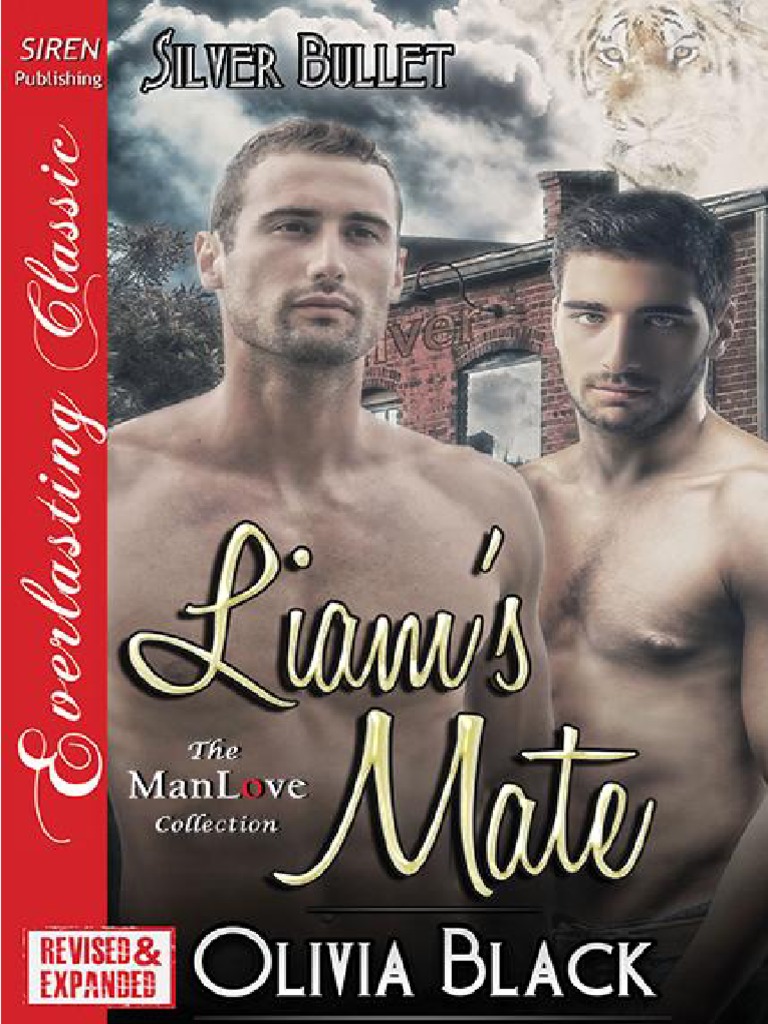 08.5 BP El Compañero de Liam Book PDF | PDF