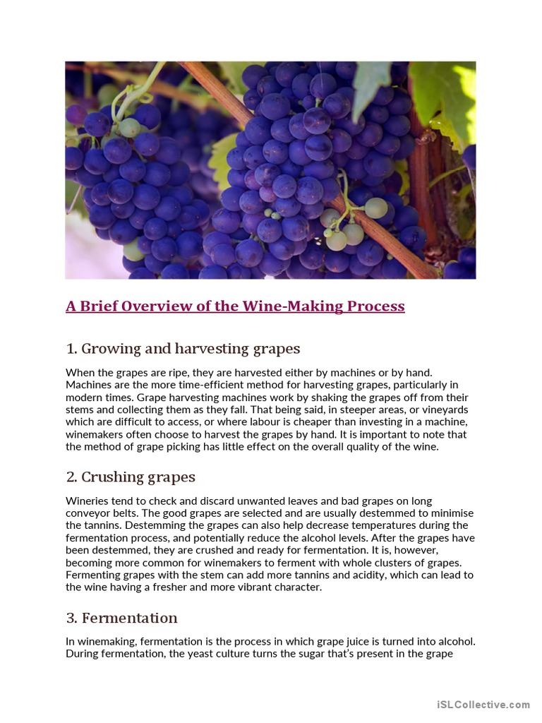 A Brief Overview of The Wine-Making Process | PDF