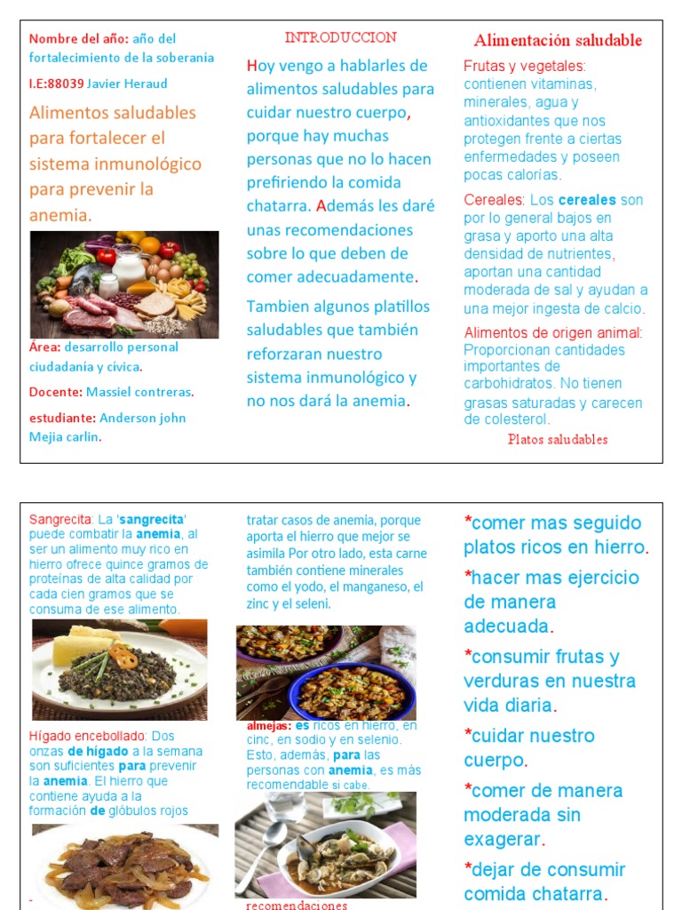 Triptico Sobre Los Alimentos Saludables Para Prevenir La Anemia | PDF | Alimentos | Carne