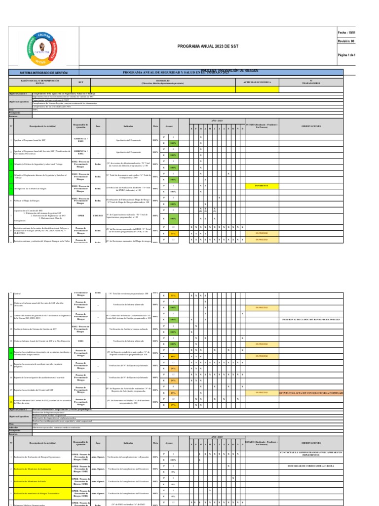 Programa Anual de SST 2023 Rev 02 290423 | PDF | Seguridad y salud ocupacional | Ciencias de la ...
