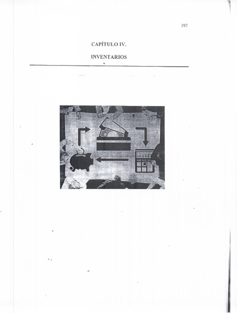 Cap IV INVENTARIO Parte 1 | PDF