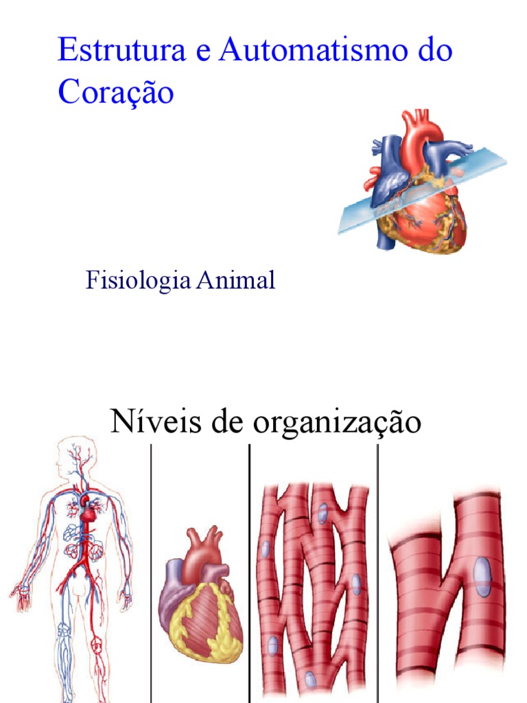 Estrutura e Automatismo Do Coracao | PDF | Coração | Átrio (coração)