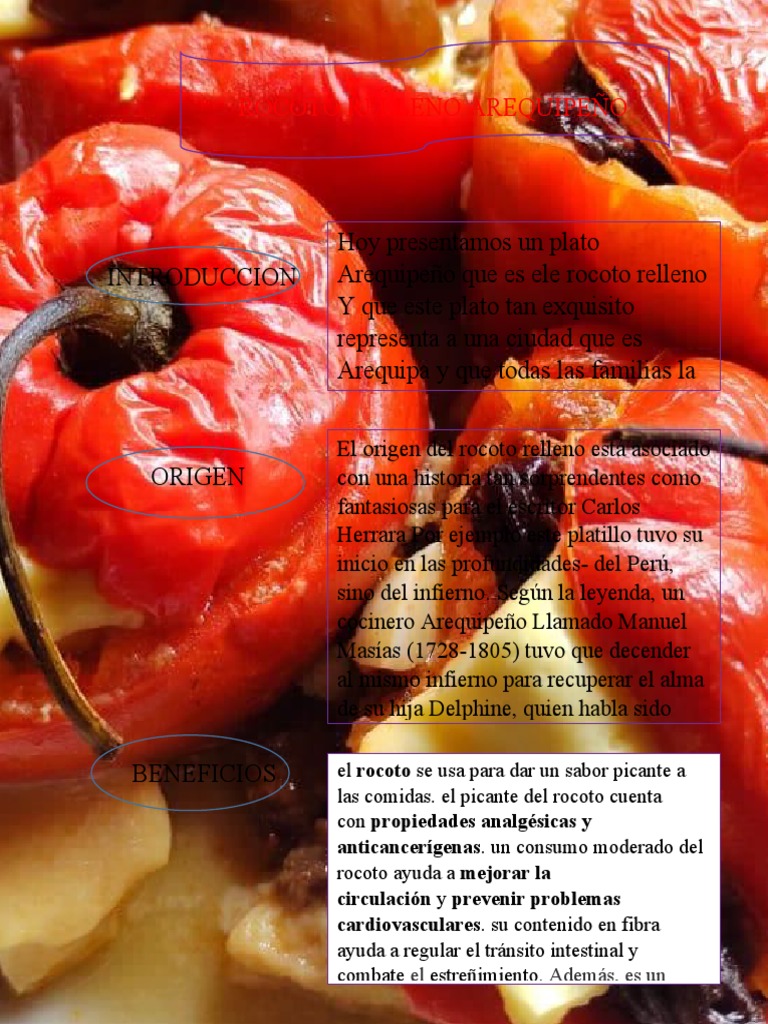 Rocoto Relleno Arequipeño | PDF