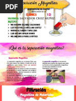 Método de Separación - Imantación | PDF | Imán | Magnetización