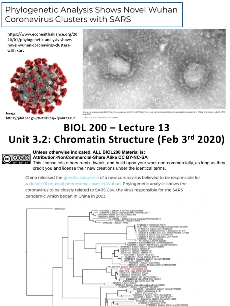 Lecture 13 Unit 3 Chromatin Structure Pre Lecture Pdf