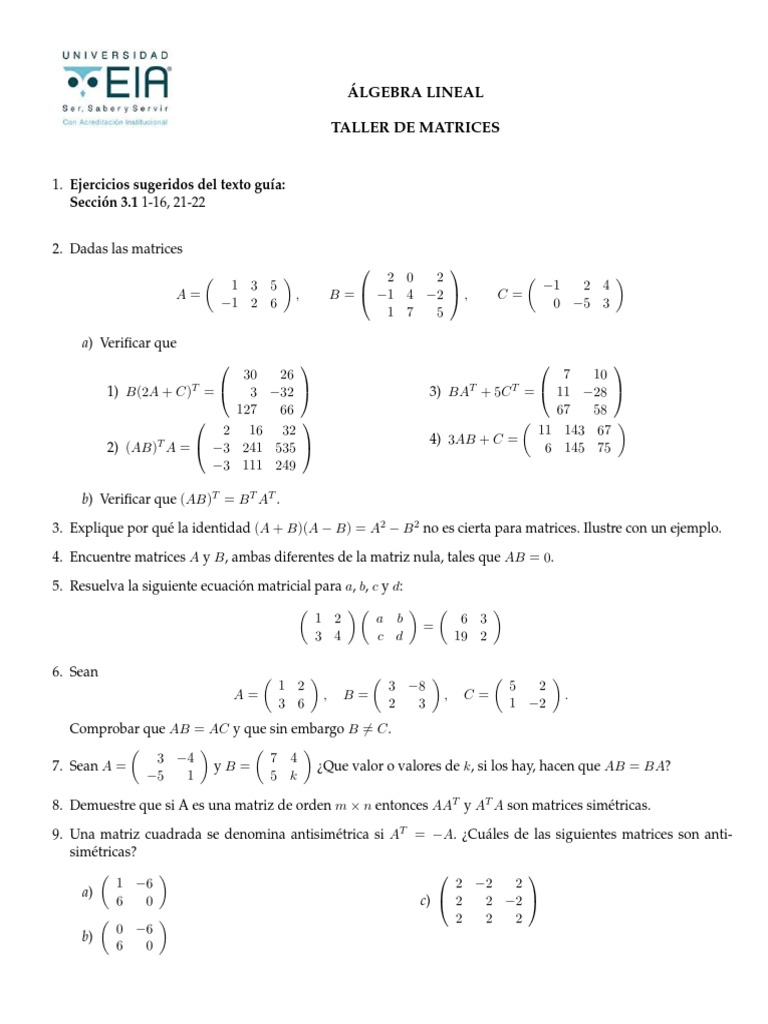 Taller Matrices | PDF | Matriz (Matemáticas) | Análisis matemático