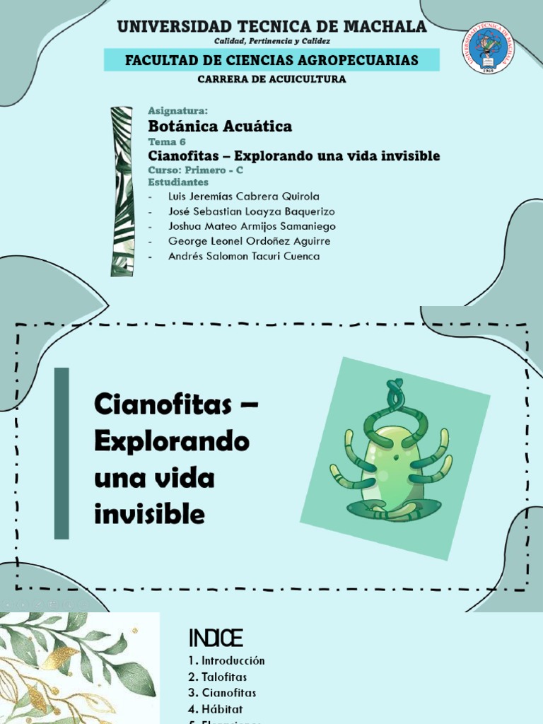 Cianofitas Presentacion | PDF | Cianobacterias | Clorofila