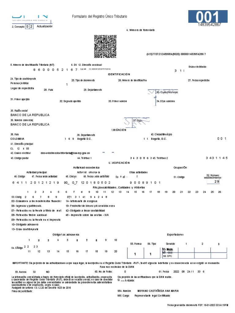 RUT - Plantilla Ejemplo | PDF