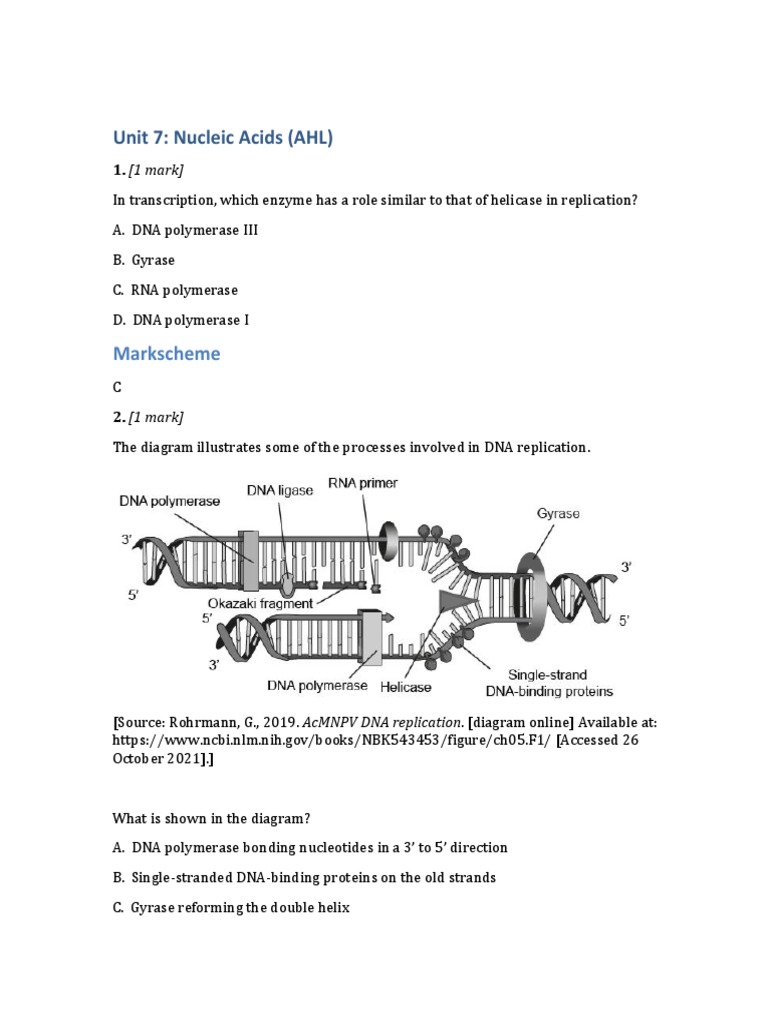 Advanced Biology Exam Prep | PDF | Rna | Dna