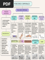 Posicion Flower Semiflower | PDF
