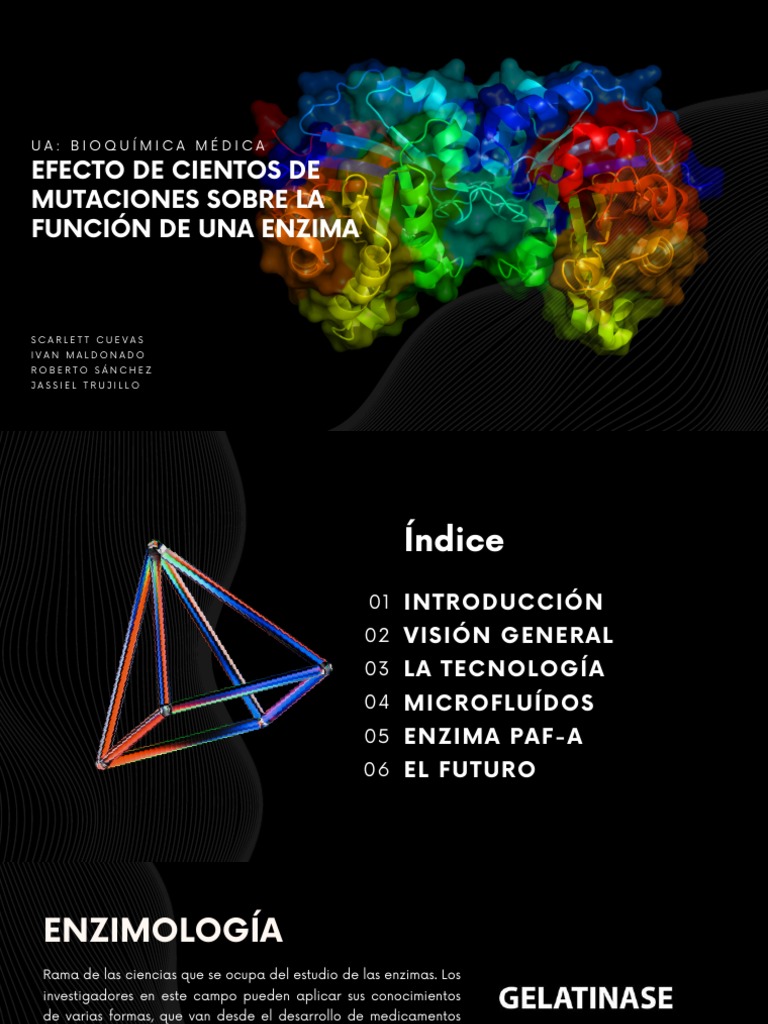 Efecto de Cientos de Mutaciones Sobre La Función de Una Enzima | PDF | Enzima | Proteínas