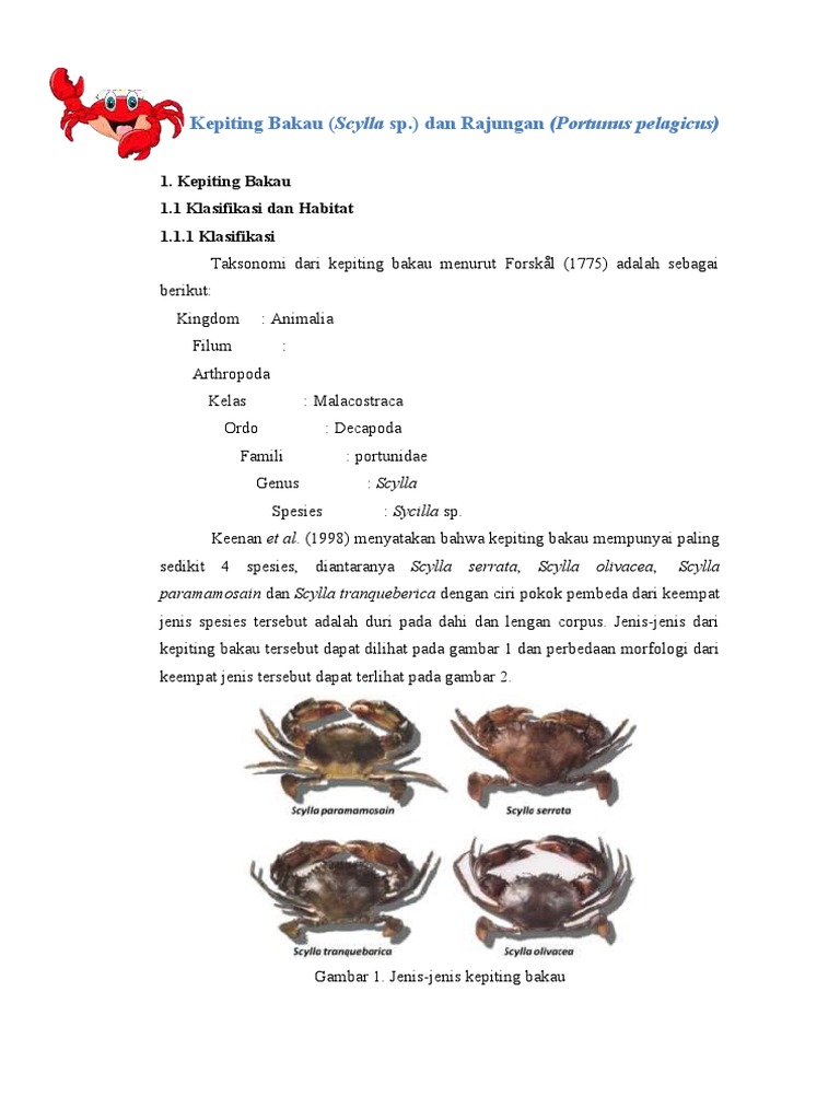 Modul Crustacea (Udang Dan Kepiting) | PDF