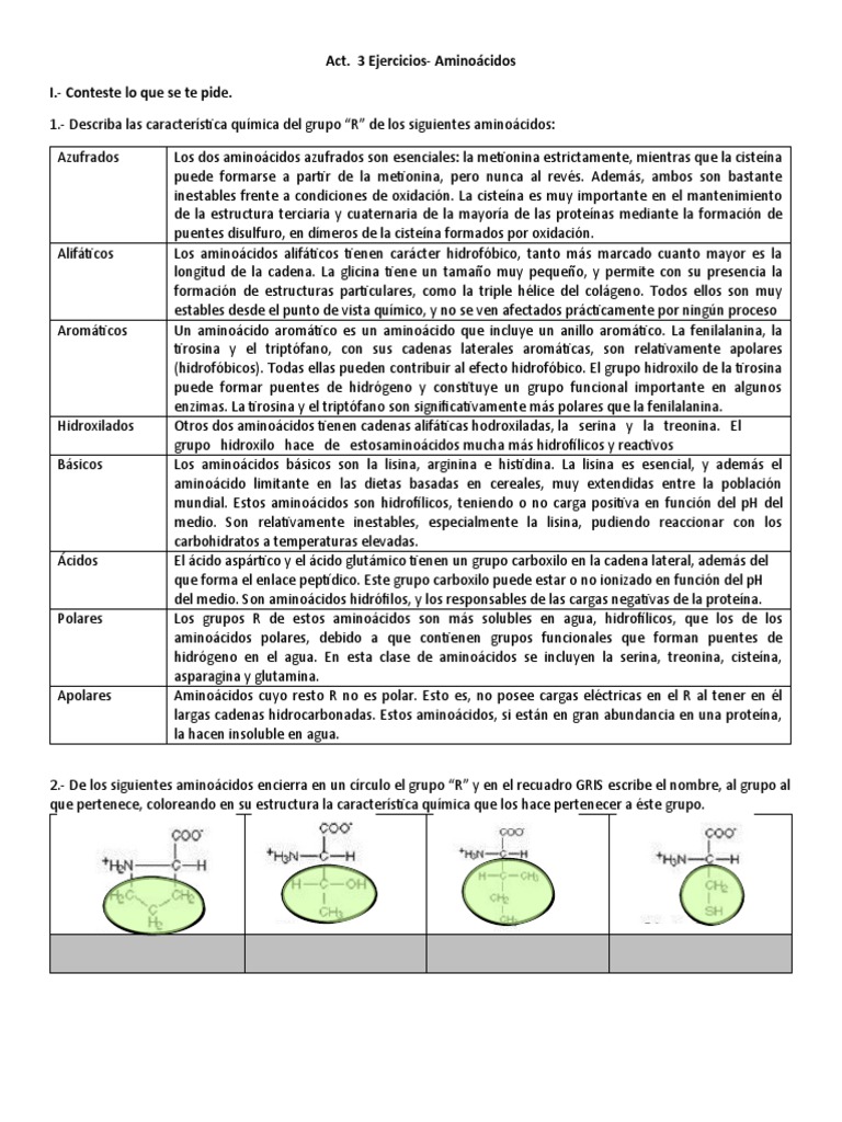 Act 3 Ejercicios - Alumnos | PDF