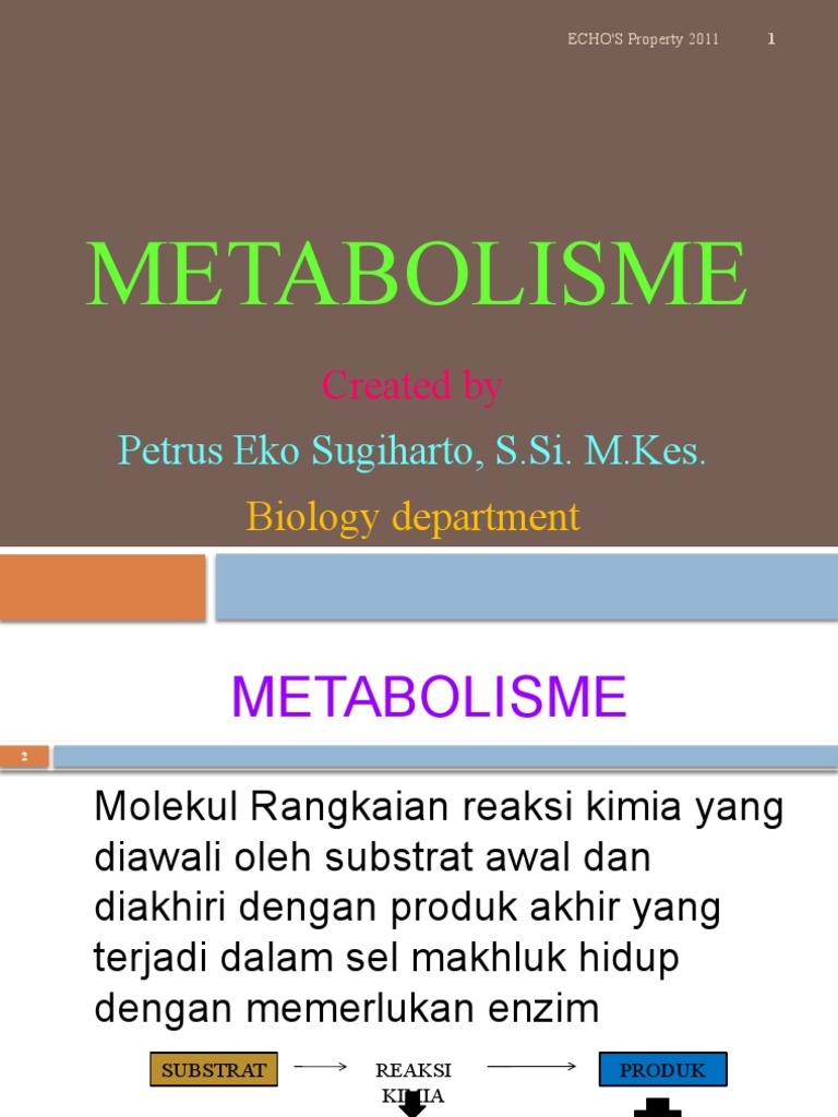 Metabolisme | PDF