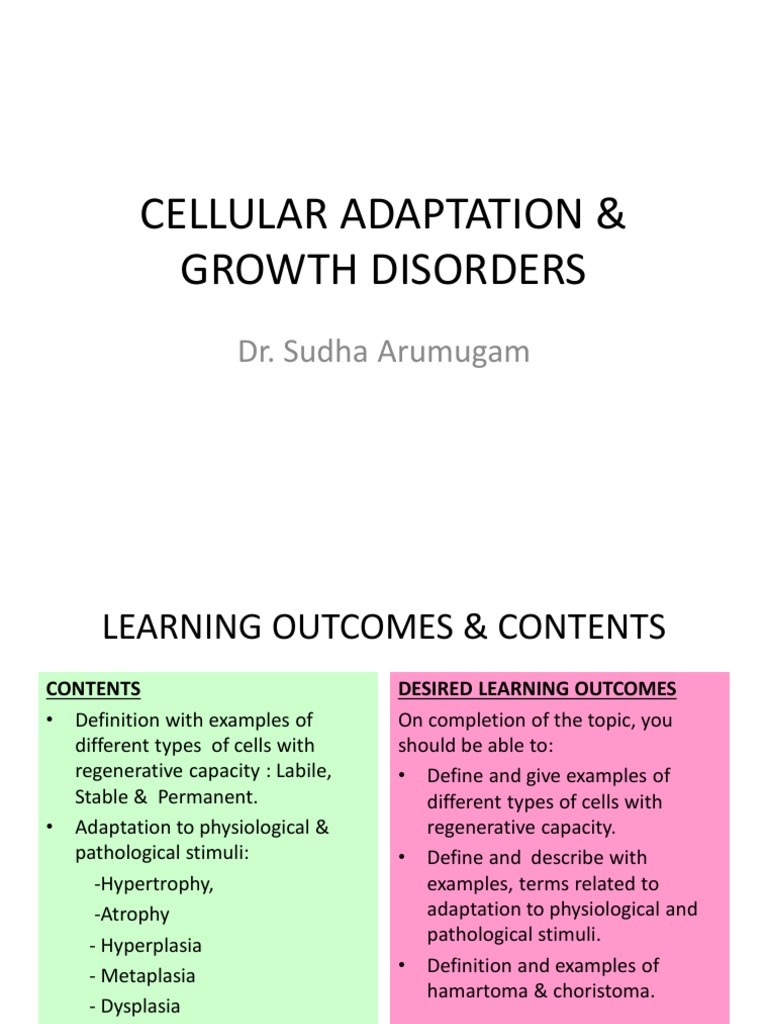 Cellular Adaptations | PDF | Epithelium | Anatomy