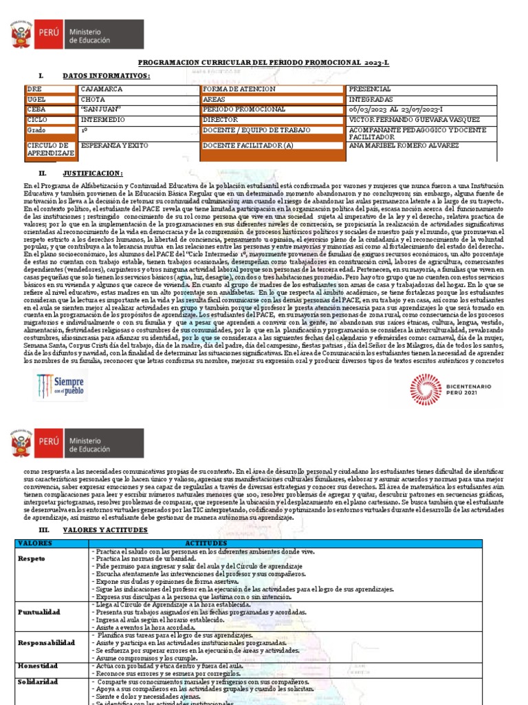 Programacion Curricular Del Periodo Promocional 2023-I | Descargar gratis PDF | Evaluación ...