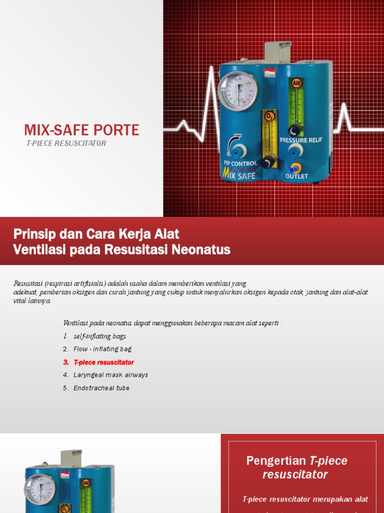 Mix-Safe Porte | PDF