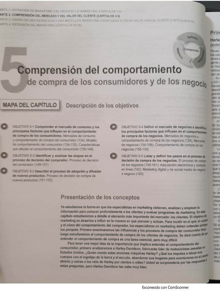 Comportamiento Del Consumidor | PDF