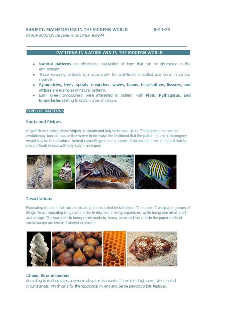 MMW 1 Assignment1 | PDF | Pattern | Fractal