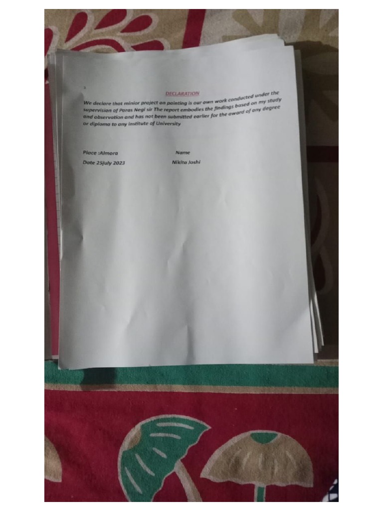 Paint System Management | PDF