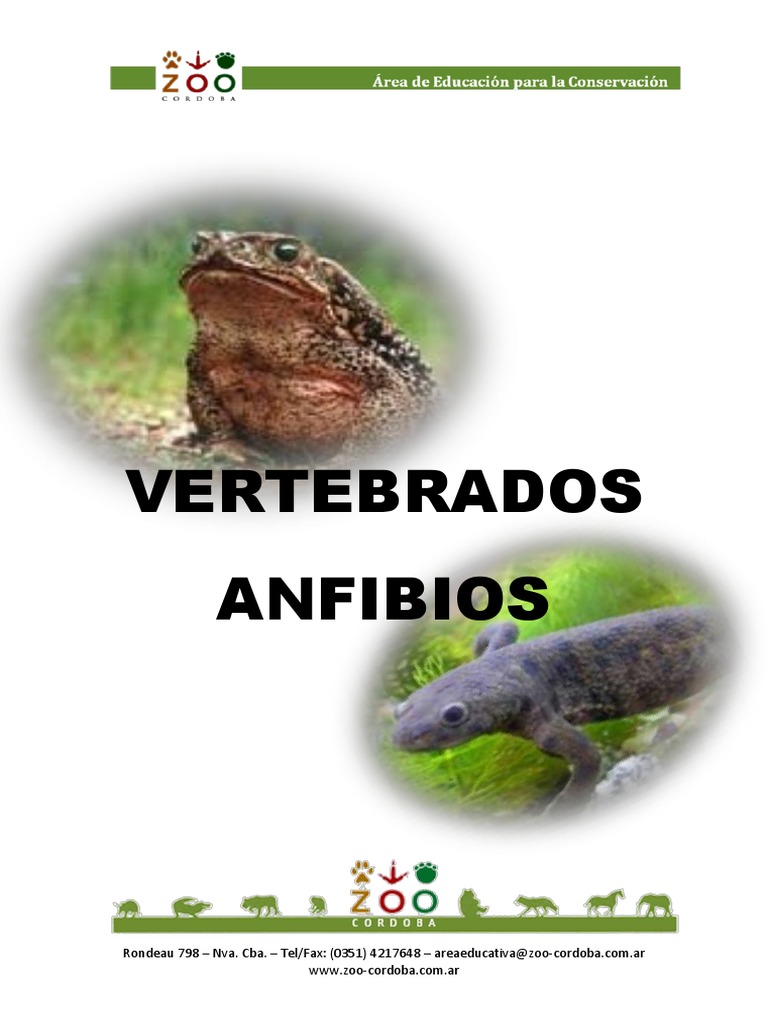 8 - Vertebrados Anfibios | PDF | Rana | Anfibio