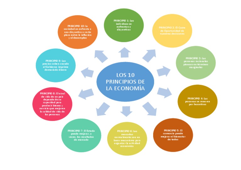 Infografia 10 Principios Economia | PDF
