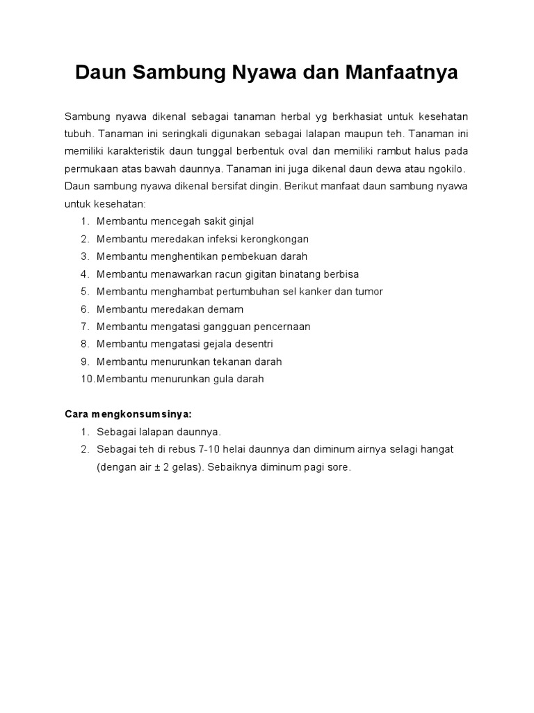 Daun Sambung Nyawa Dan Manfaatnya | PDF