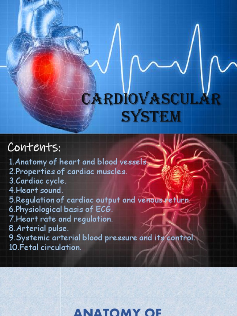 Understanding the Cardiovascular System | PDF | Science & Mathematics
