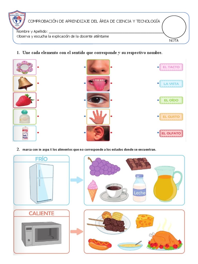 Examen de Ciencia y Tecnología Inicial | PDF | Artes del Lenguaje y ...