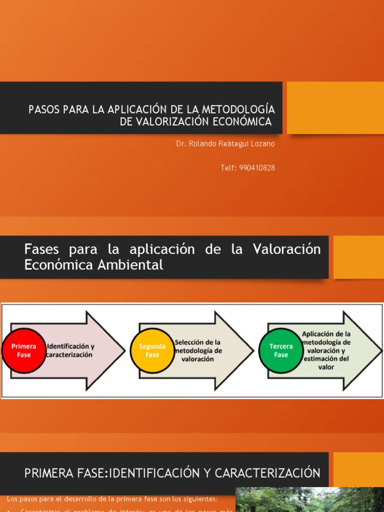Pasos para La Aplicación de La Metodología de | PDF