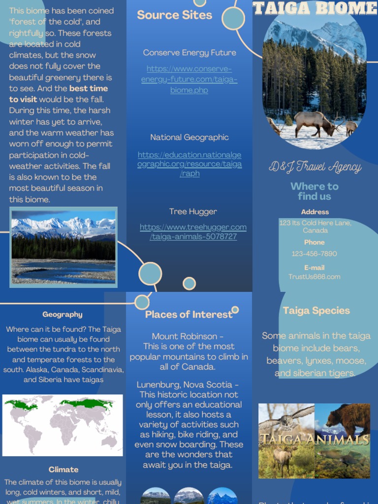 Taiga Biome Brochure | PDF