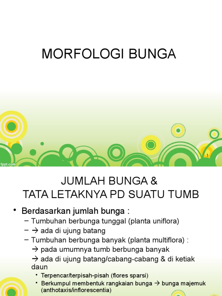 4.morfologi Bunga | PDF | Griya & Taman | Sains & Matematika