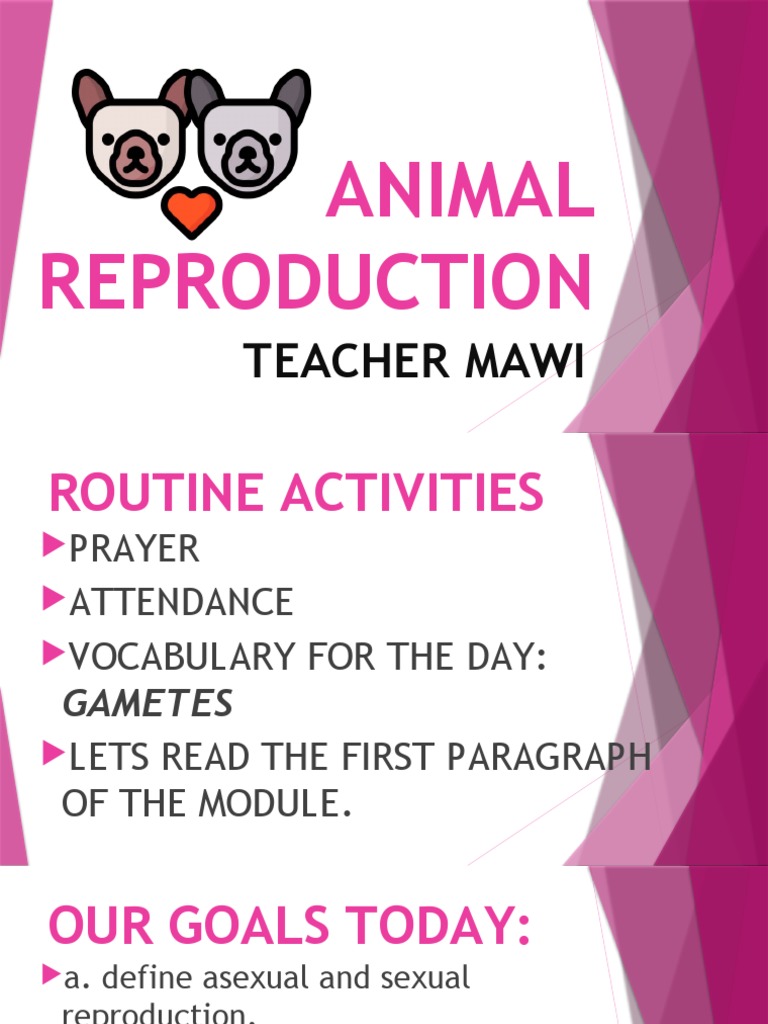 Animal Reproduction Powerpoint Presentation | PDF