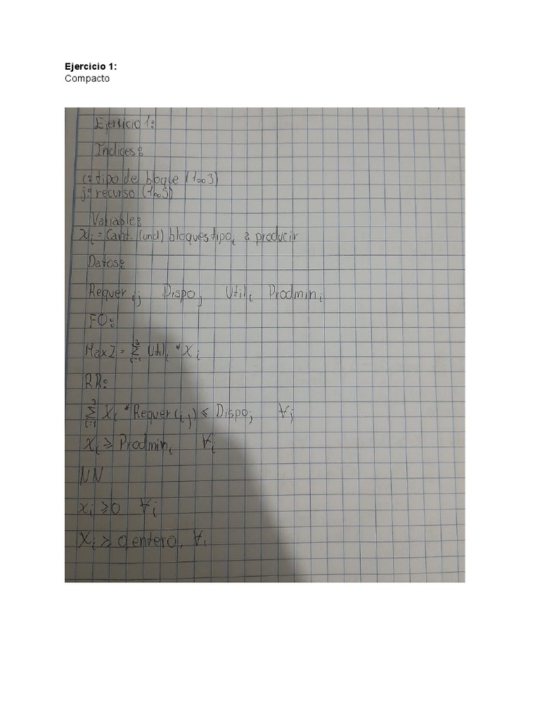 Ejercicios Lingo IOP TF | PDF