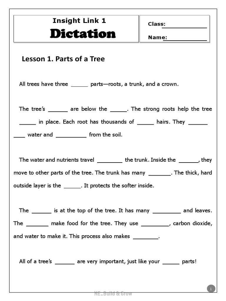 Insight Link 1 - Dictation - PDF | PDF