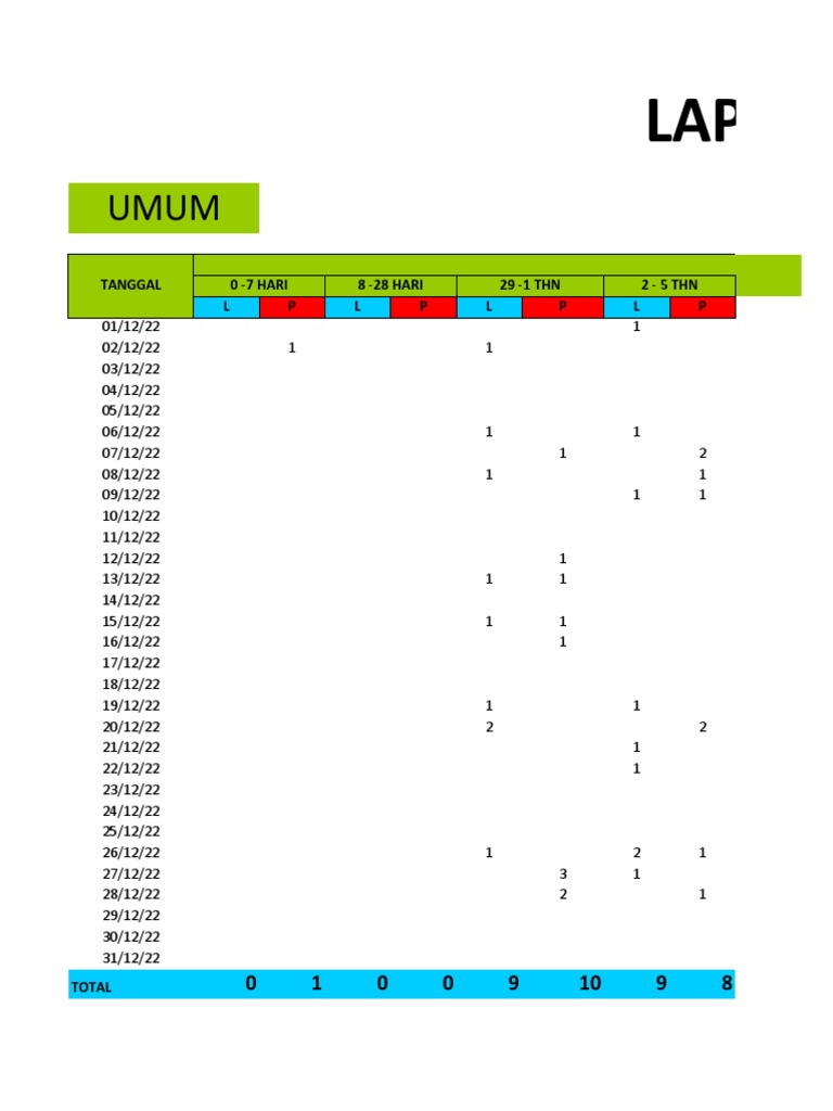 Laporan Bulanan Data Kunjungan Pasien | PDF